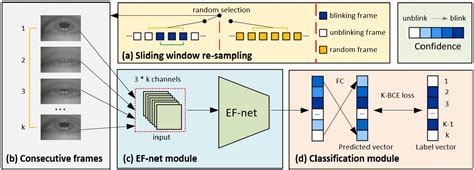 Figure 1 From Detecting Blinks From Wearable Cameras Using Spatial