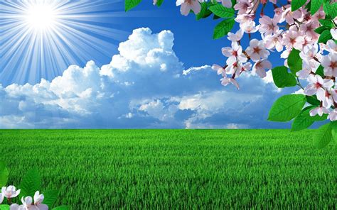 Beautiful Nature Spring Wallpapers Top Free Beautiful Nature Spring