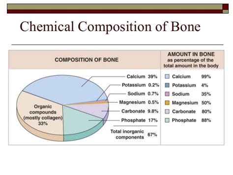 General Osteology Osteology Anatomy Bones Bone Composition