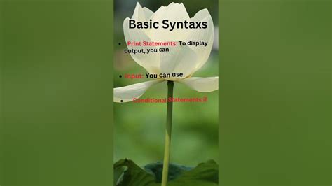 Python Basics Python For Beginers Python Tutorials Youtube