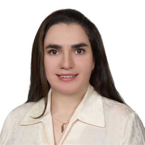 Fatemeh Norouzi System Engineer Organisation Für Industrie Bergbau