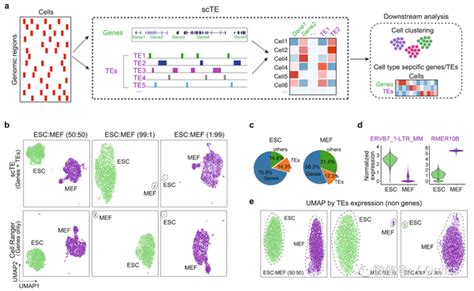 Nature Commun 单细胞测序数据中的转座元件表达定量工具——scte 知乎