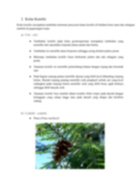 Solution Klasifikasi Gymnospermae Berserta Pengertian Ciri Ciri Dan Contoh Gambar Lengkap