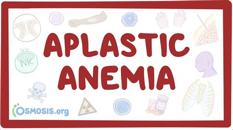 Aplastic Anemia Video Causes And Meaning Osmosis