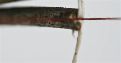 Catharina Van Eetvelde Artworks For Sale And More Artsy