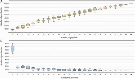 Core Pan Genome Size Evolution A Pan Genome Pan Genome Size Is