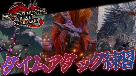 傀異克服クシャルダオラta火事場流転突きランス対策委員会 パート4【モンハンライズ・サンブレイク】 モンハンライズ 攻略動画まとめ【初心者必見】