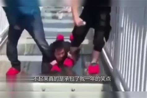 野猪误闯入玻璃桥下一秒憋住别笑保安都没见过这么搞笑的猪 玻璃 野猪