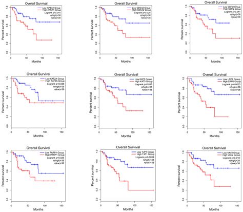 Personalized Driver Gene Prediction Using Graph Convolutional Networks With Conditional Random