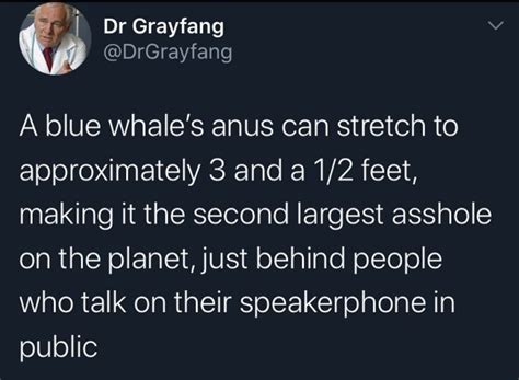 A Blue Whales Anus Can Stretch To 3 And 12 Feet Meme Shut Up And