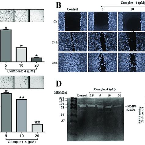 Effect Of Complex 4 On Mda Mb 231 Mcf 7 And Mcf 10a Cells A Cell