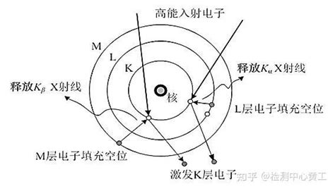 场发射扫描电子显微镜之能谱仪（eds）简介及案例分享 知乎
