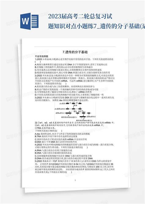 2023届高考二轮总复习试题知识对点小题练7遗传的分子基础适用于山word模板下载编号qmbwegbg熊猫办公