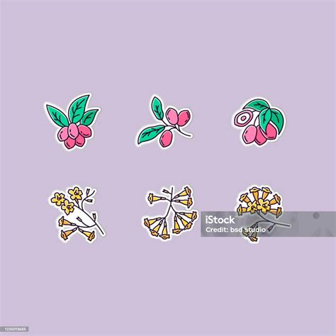 브라질 식물 인쇄 패치 기적의 열매 Rgb 색상 스티커 핀 및 배지 세트 이페 나무 플루메리아와 호호바 남미 식물 식물학 열대 꽃입니다 벡터 절연 일러스트레이션 0명에 대한