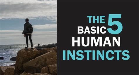 What Are The 5 Basic Human Instincts