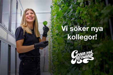 John Valfridsson På Linkedin Det är Roligt Att Följa Daniel Remes