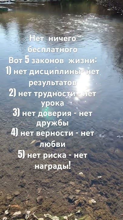 5 законов жизни!!! - YouTube