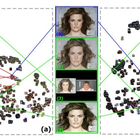 The T Sne Visualization [29] Of The Vggnet 16 Based Feature Embedding