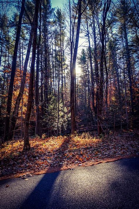 November Light Photograph By Kendall McKernon Fine Art America
