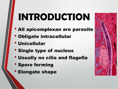 SOLUTION Gliding Motility In Apicomplexa Ppt Studypool