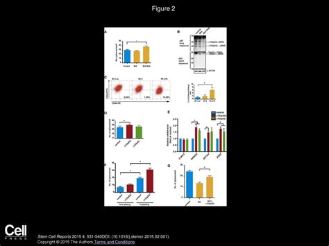The P53 Isoform Δ133p53β Promotes Cancer Stem Cell Potential Ppt Download