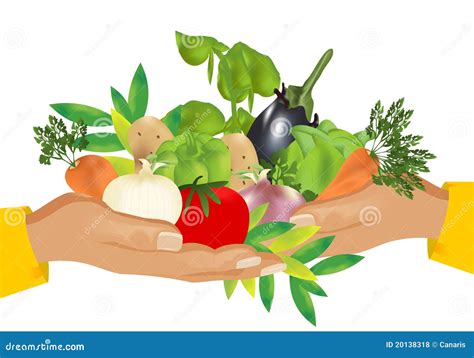Healthy Food Vegetables Cdr Vector Royalty Free Stock Photos Image