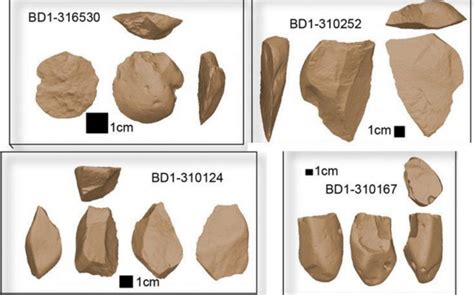 Multiple Invention Of Stone Tools Earth Logs