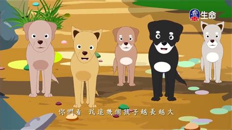 無私分享的愛、想活下去的金鯉魚愛護生命卡通動畫系列lifetv202408210330 Youtube