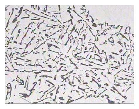 Size And Distribution Of Eutectic Si Particles In A T9 And B T9s Download Scientific