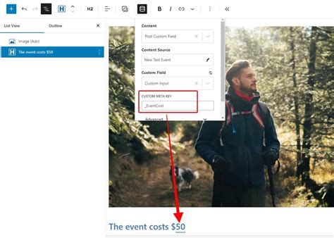 Dynamic Content Custom Input And Showing Fields From All Post Types Kadence Wp Documentation