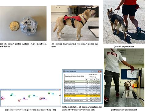 Figure 1 From An Exploration Of Machine Learning Methods For Gait Analysis Of Potential Guide