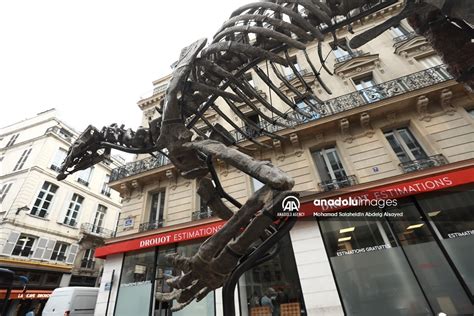 Camptosaurus Dinosaur Skeleton Barry To Be Auctioned In Paris