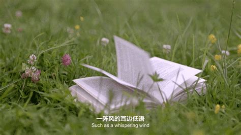 文艺清新动图 动图清新 小清新动图 大山谷图库
