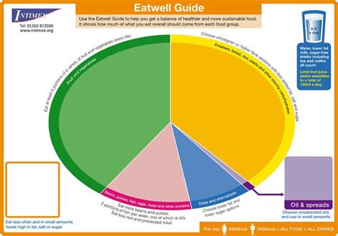 EWP2016 The Eatwell Guide 2016 Floor Mat Eating Well Healthy