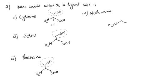 Solved 2 A Draw The Six Most Common Amino Acids Used As Ligands