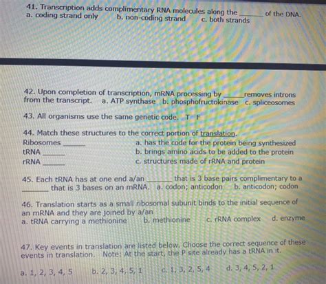 Solved 41 Transcription Adds Complimentary Rna Molecules