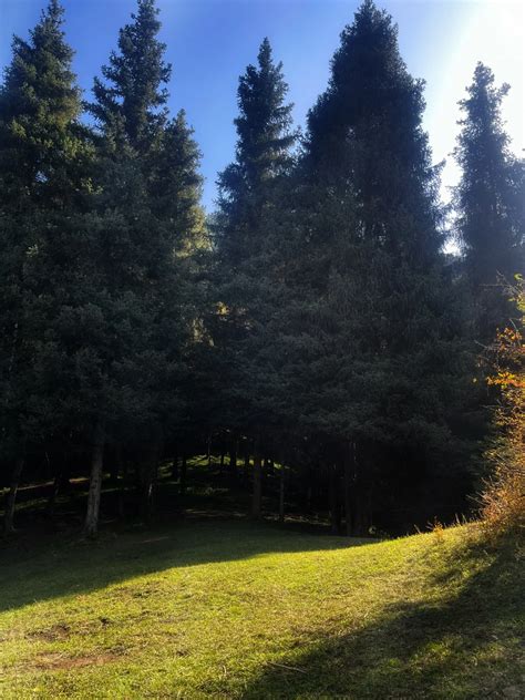 “人就应该待在没有天花板的地方” “人就应该待在没有天花板的地方”