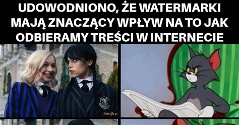 Instytut Badań Z Dupy