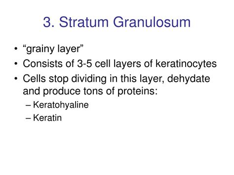 Ppt Lecture 5 Powerpoint Presentation Free Download Id589198