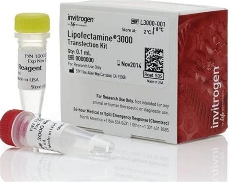 Rsc Estore Lipofectamine 3000 Transfection Reagent 075m