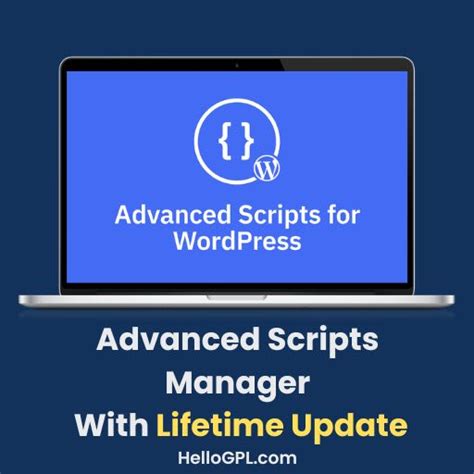 Advanced Scripts Manager Activation With Key Lifetime Update