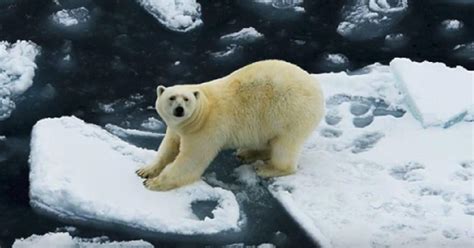 Sea Level Rise Has Links With Melting Of Polar Ice Caps And Flooding In