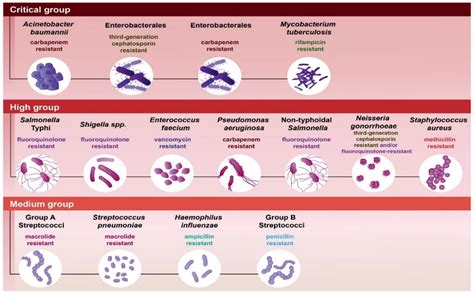 A Comprehensive Overview Of Antibacterial Agents For Combating