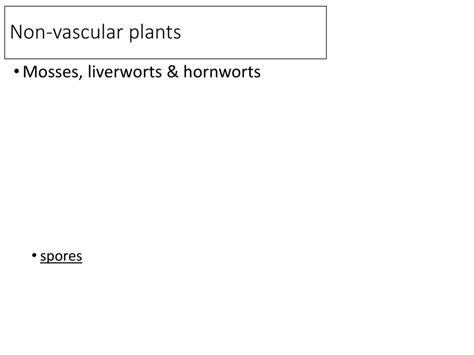 Fungi And Plant Diversity Ppt Download