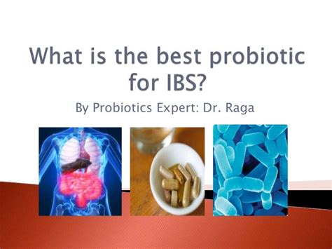 What Is The Best Probiotic For Ibs