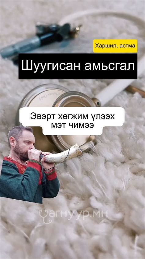 Амьсгалын авиа шуугиан Ханиад томууны улирал ирж байна Уушигны