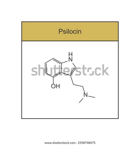 Psilocin Skeletal Structure Diagrampsychedelic Compound Molecule Stock