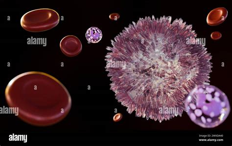 3d Rendering Of Hairy Cell Leukemia Hcl Is A Rare Type Of Chronic