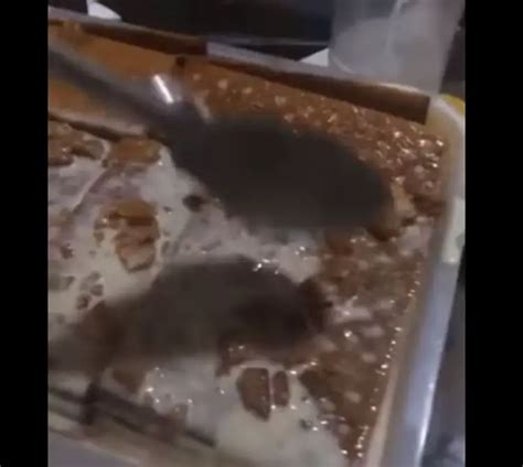 Lady Netizen Goes Viral Over Mango Graham Float