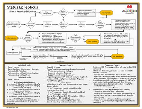 Cpg Status Epilepticus 102021 Status Epilepticus Clinical Practice